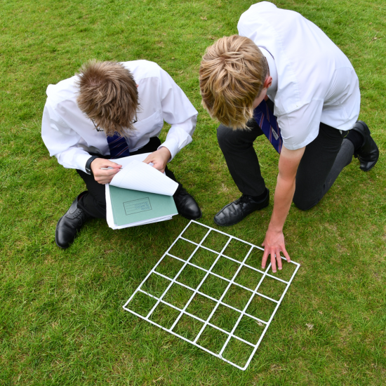 Quadrats and Calculations | News | St Edward's School